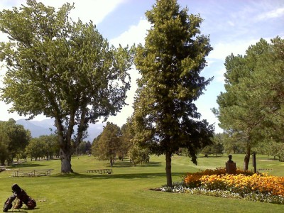 Patty Jewett Golf Course- for lunch! – Oink