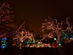 Winter things to do in Chicago- Zoo lights at Lincoln Park Zoo! – Oink